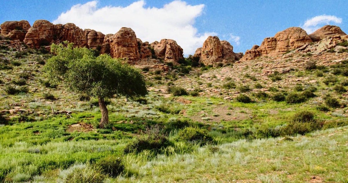 Great Gobi to Khuvsgul Lake 16 Days Tour | GetYourGuide