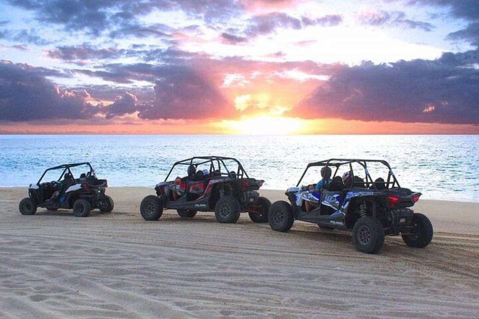 Cabo: Sunset Camel Ride and ATV Combo Adventure | GetYourGuide