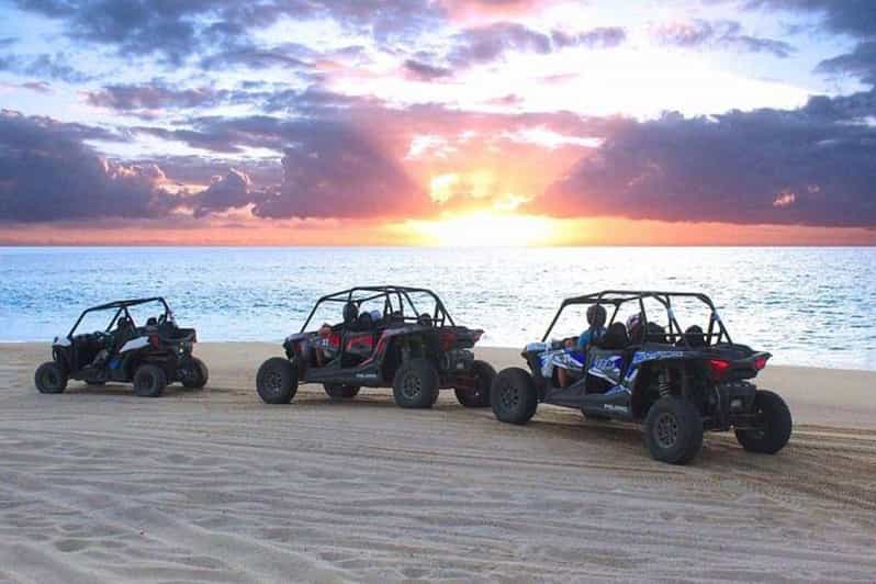 Cabo: Sunset Camel Ride and ATV Combo Adventure | GetYourGuide