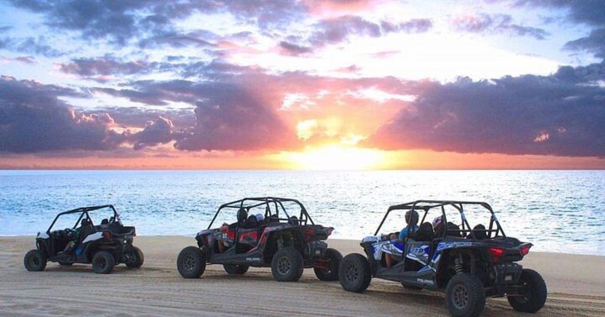 Cabo: Sunset Camel Ride and ATV Combo Adventure | GetYourGuide