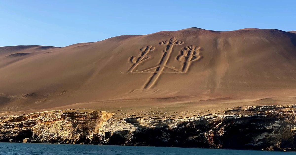 From Paracas: Shared Ballestas Islands from Private Pier | GetYourGuide