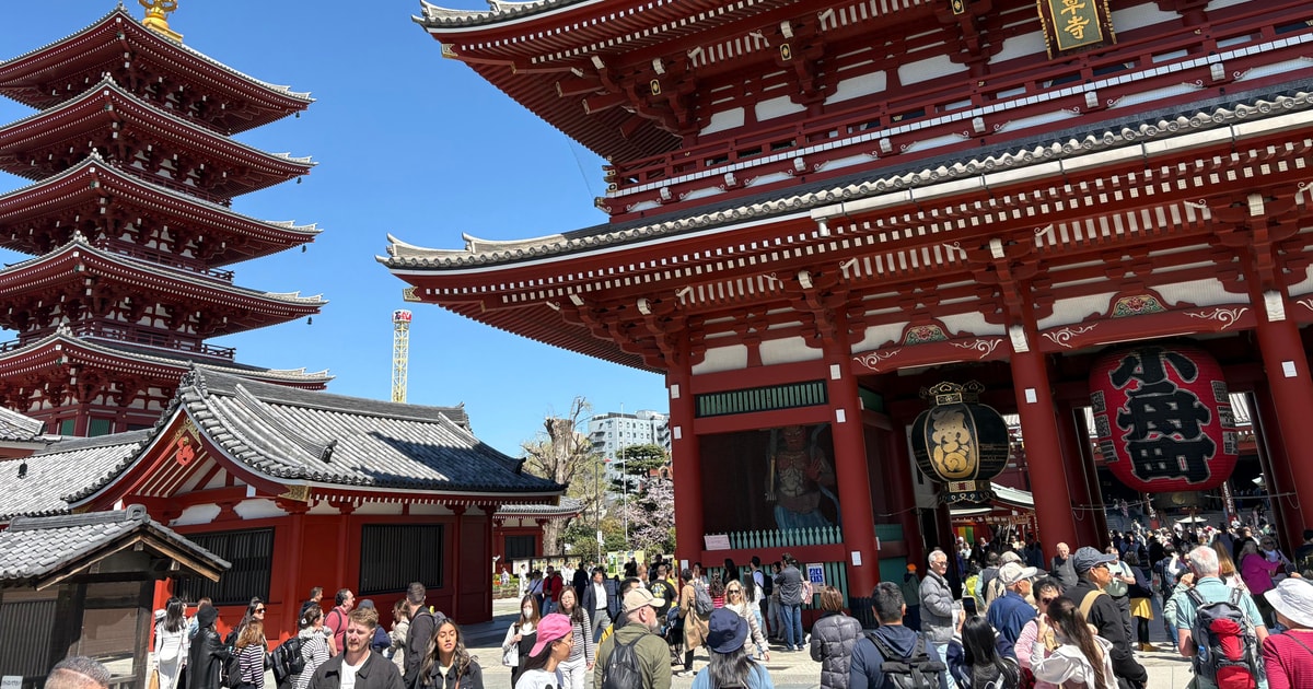 Tokio: Tour privado de 1 día en coche con guía local | GetYourGuide
