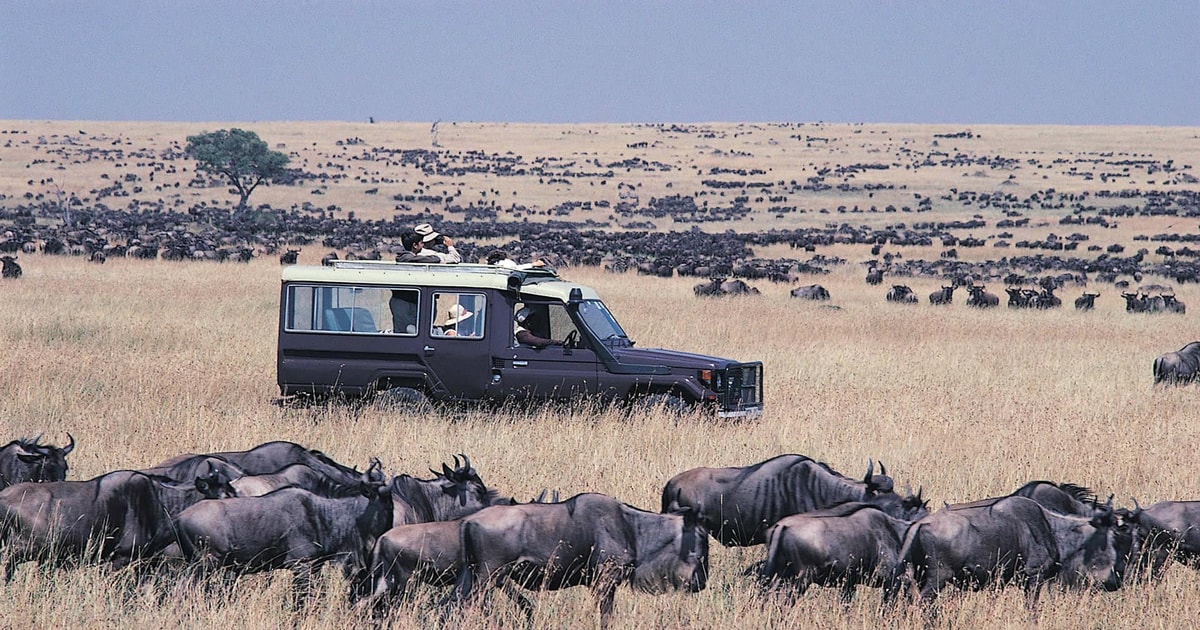 4-Day Maasai Mara & Lake Nakuru Camping Safari on a 4x4 Jeep | GetYourGuide
