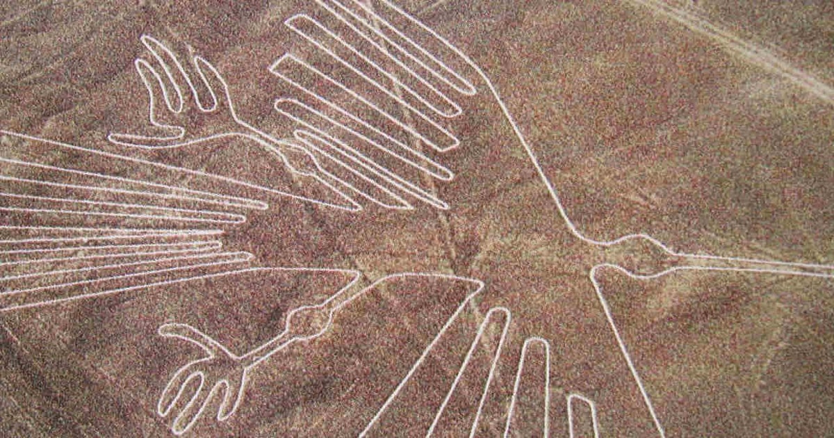 Ab Lima: Nazca Lines Flug mit Huacachina Oasis Tour | GetYourGuide