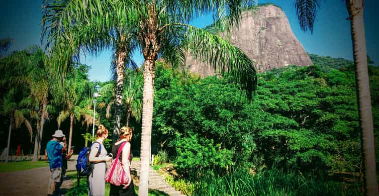 Rio de Janeiro Nature Secrets 'The Eco Citytour' | GetYourGuide