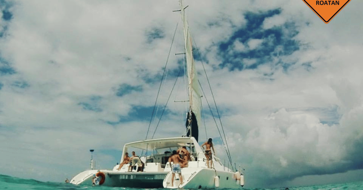 Roatan: Catamaran Cruise | GetYourGuide