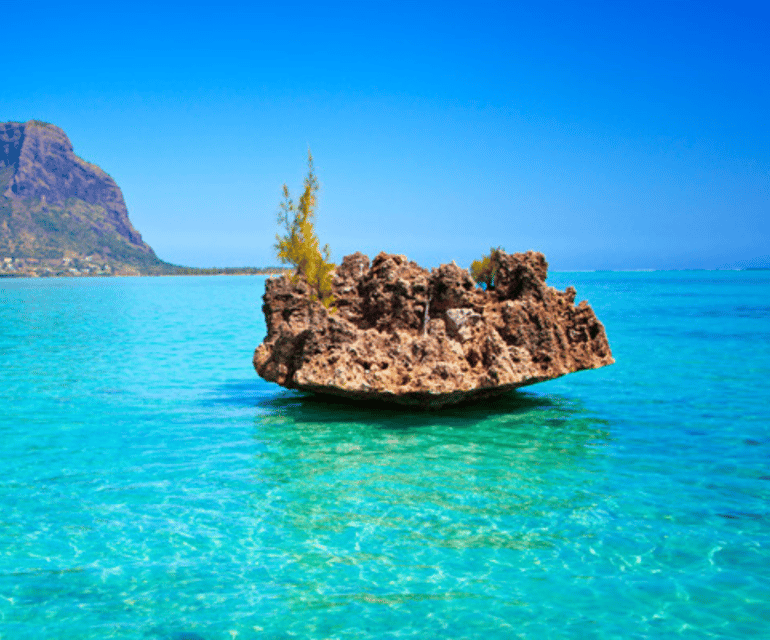 West Coast Mauritius Catamaran Overview | GetYourGuide