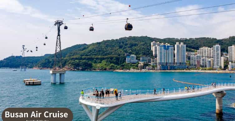 Busan: Highlights Tour with Zipline & Cable Car with Lunch | GetYourGuide