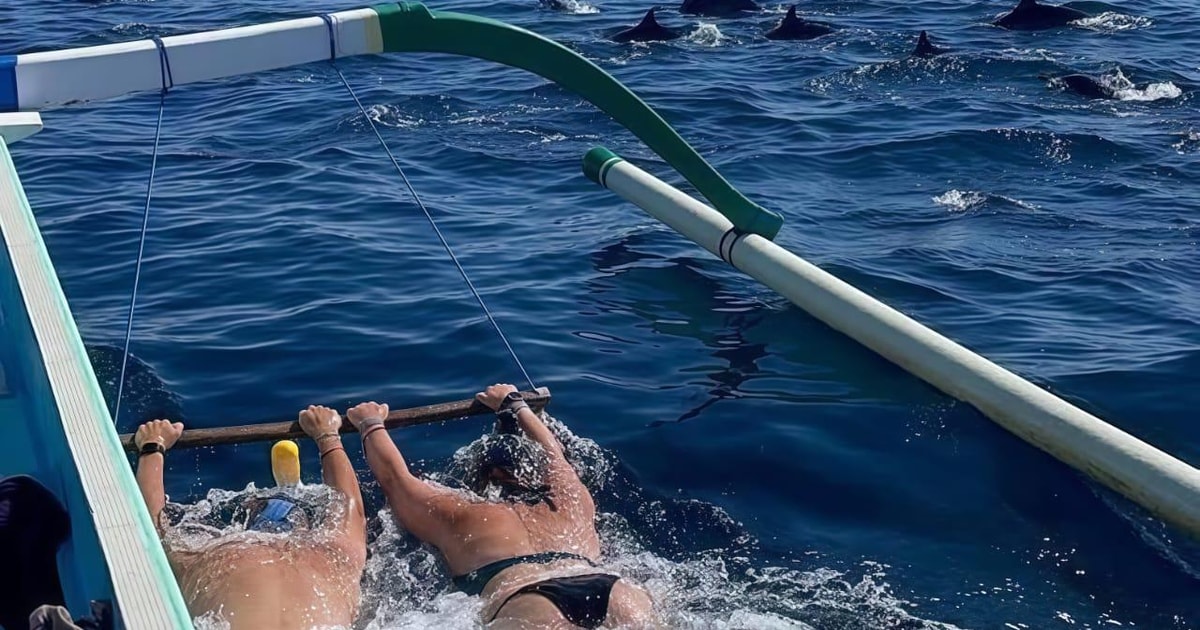 Bali: lovina swimming with dolphine & snorkeling tour | GetYourGuide