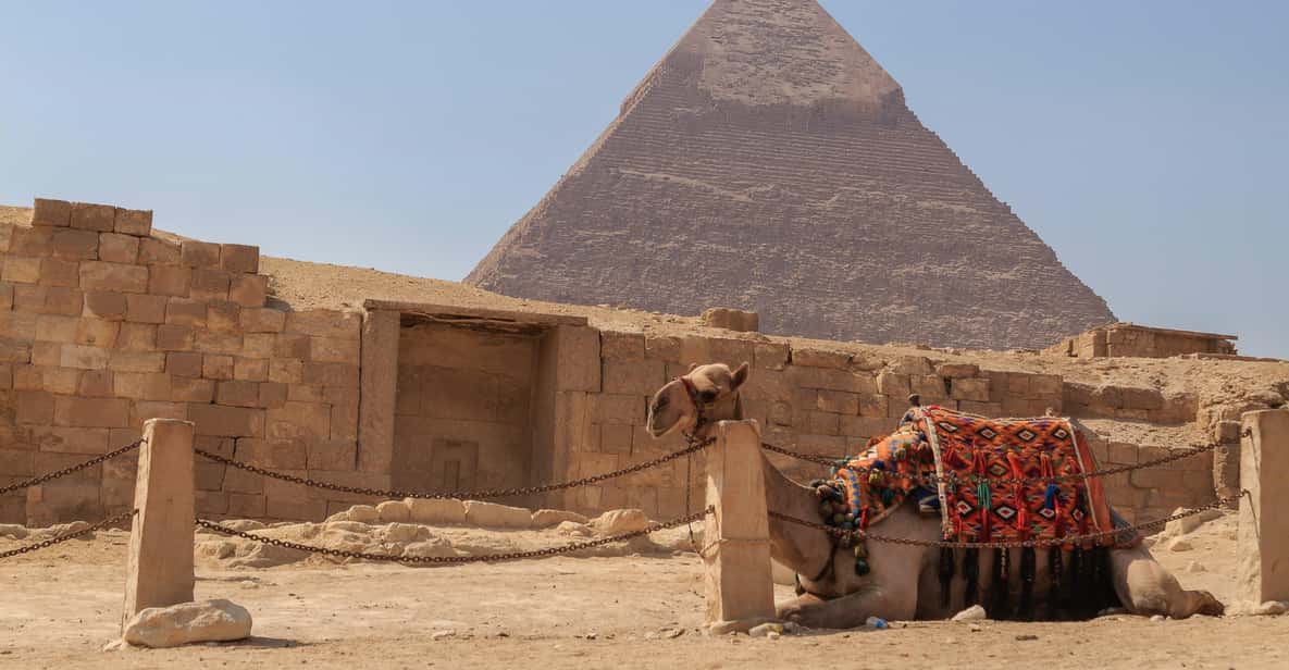 Kairo: Gizeh-Pyramiden und das Große Ägyptische Museum mit Führung ...