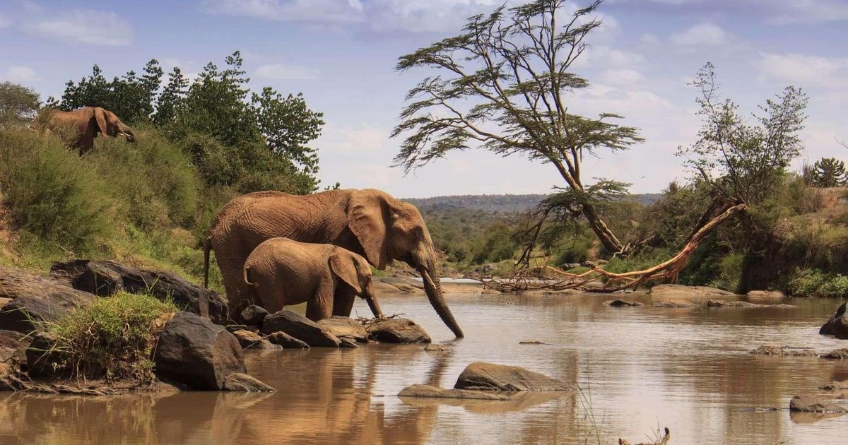 Z Nairobi: 3-dniowa wycieczka do rezerwatu Samburu National Reserve ...