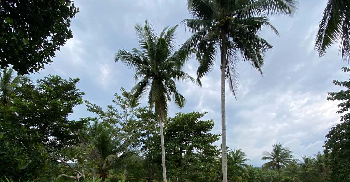 Kamp Luyong Balai, vaš pobeg v naravo čaka! | GetYourGuide