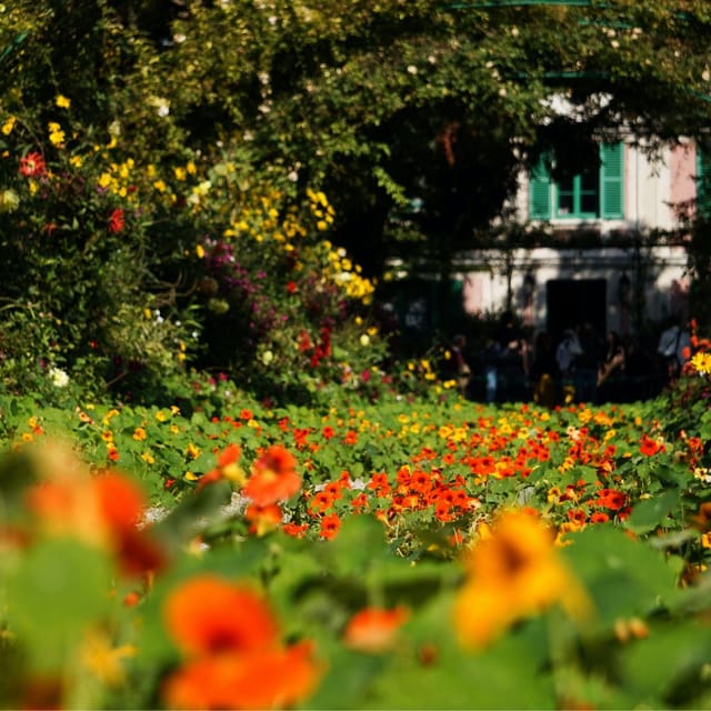 Giverny : Monet's house & Gardens Private tour from Paris | GetYourGuide