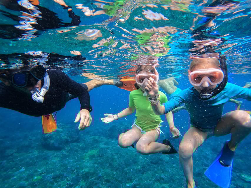 Nusa Penida: Guided Snorkel and Swim with Manta Rays Cruise | GetYourGuide