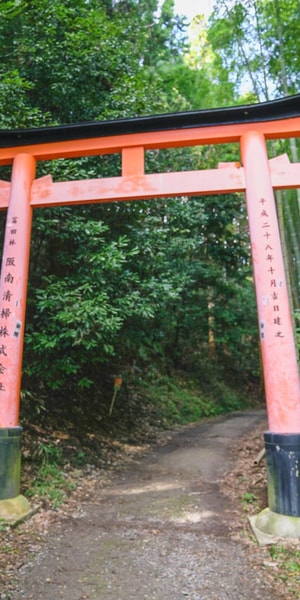 Kyoto: 3-Hour Fushimi Inari Shrine Hidden Hiking Tour | GetYourGuide