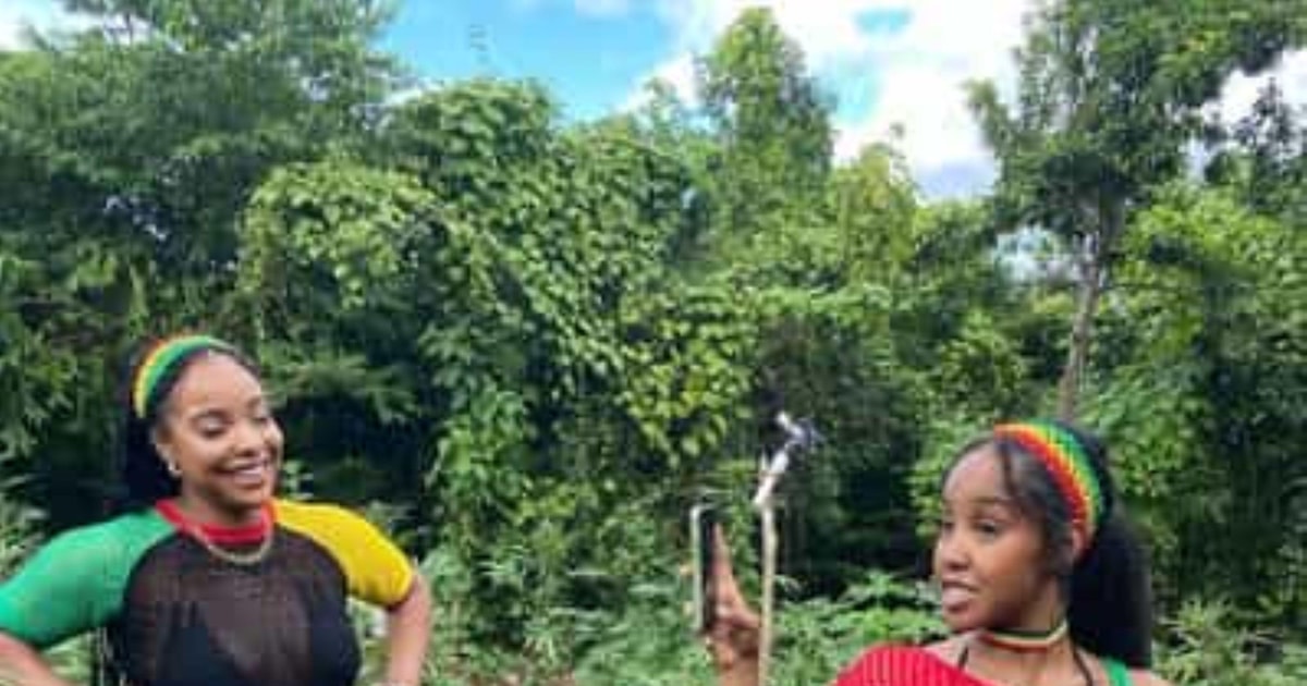 Montego Bay: Marijuana Farm and Bird Sanctuary Tour | GetYourGuide