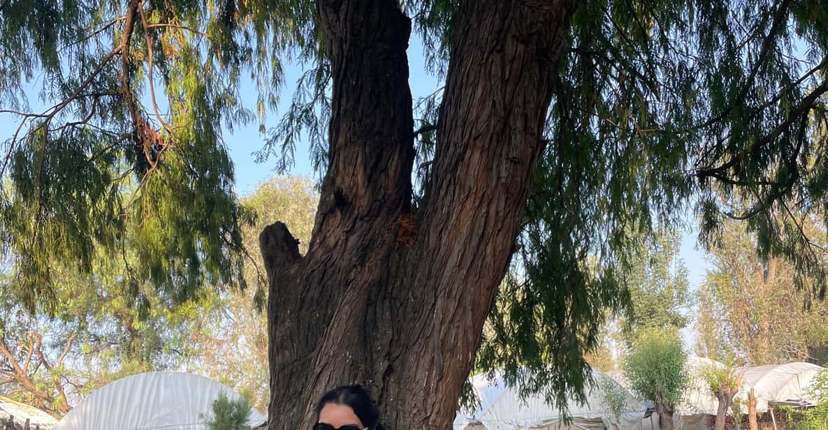 Xochimilco tradicional | GetYourGuide