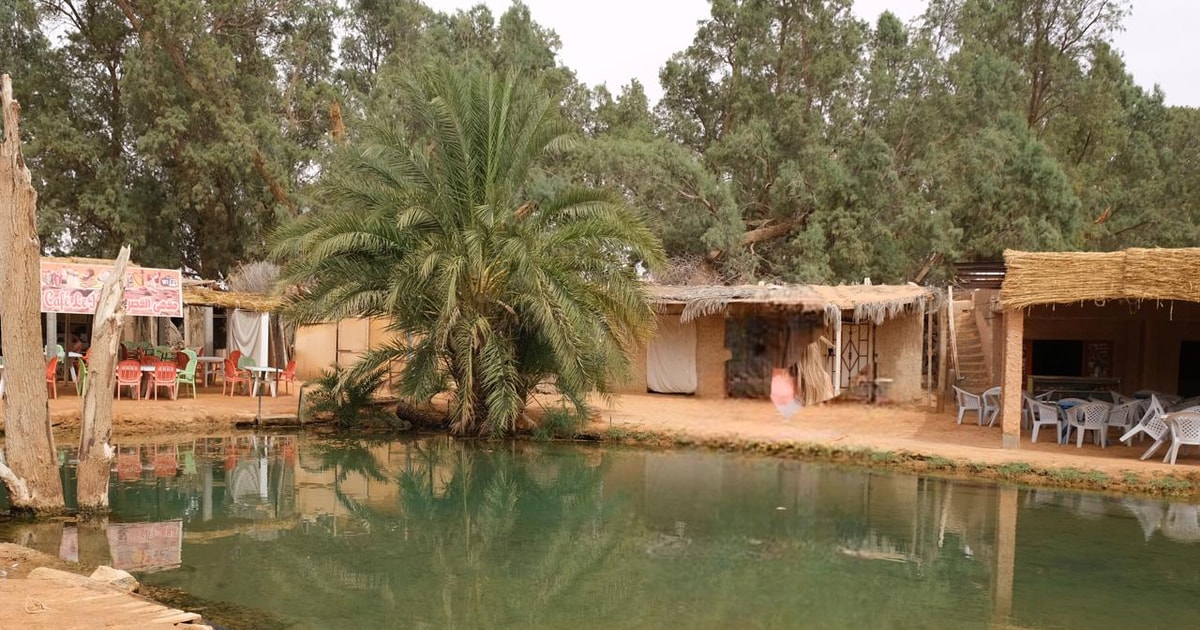 Au départ de Djerba et Zarzis : Excursion à l'oasis de Ksar Ghilane ...