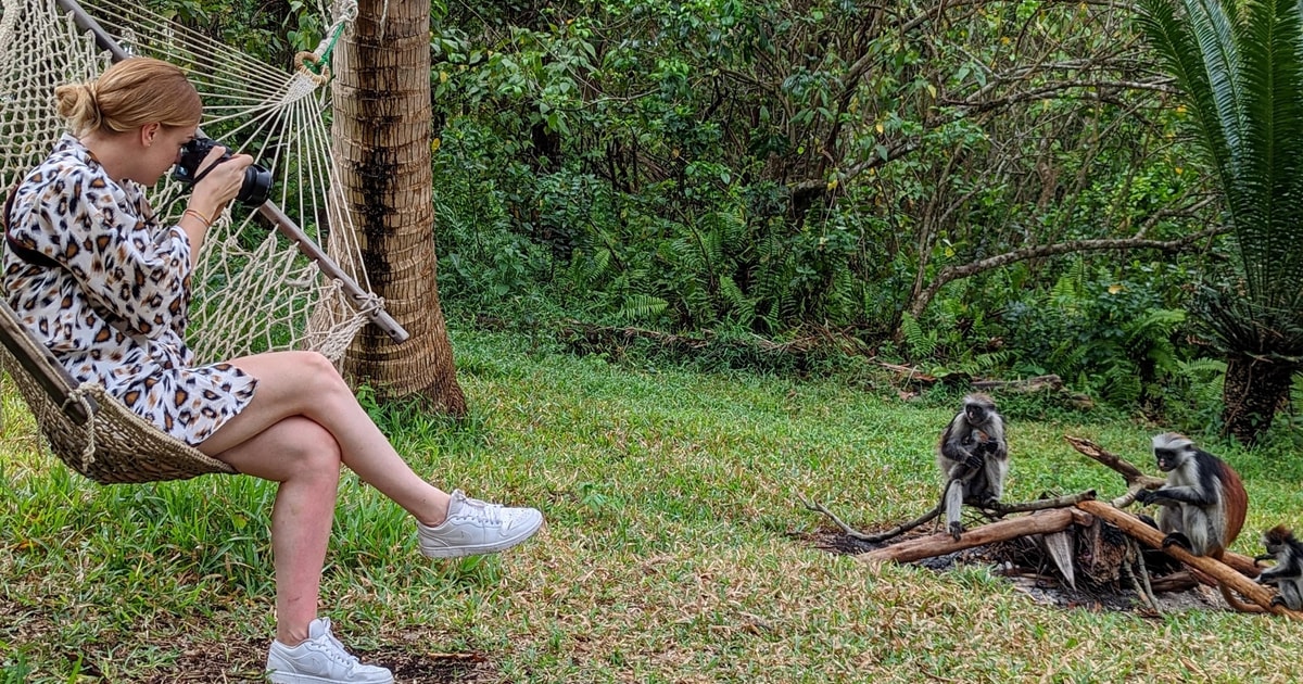 Nationalpark and Spice plantation: Explorer flora and fauna | GetYourGuide