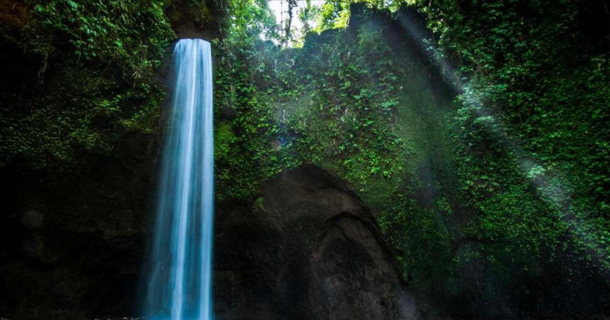 Bali: 3 best waterfall and tegalalang rice terrace | GetYourGuide