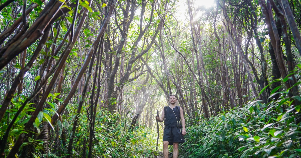 Mauritius: Black River Gorges Guided Hike | GetYourGuide