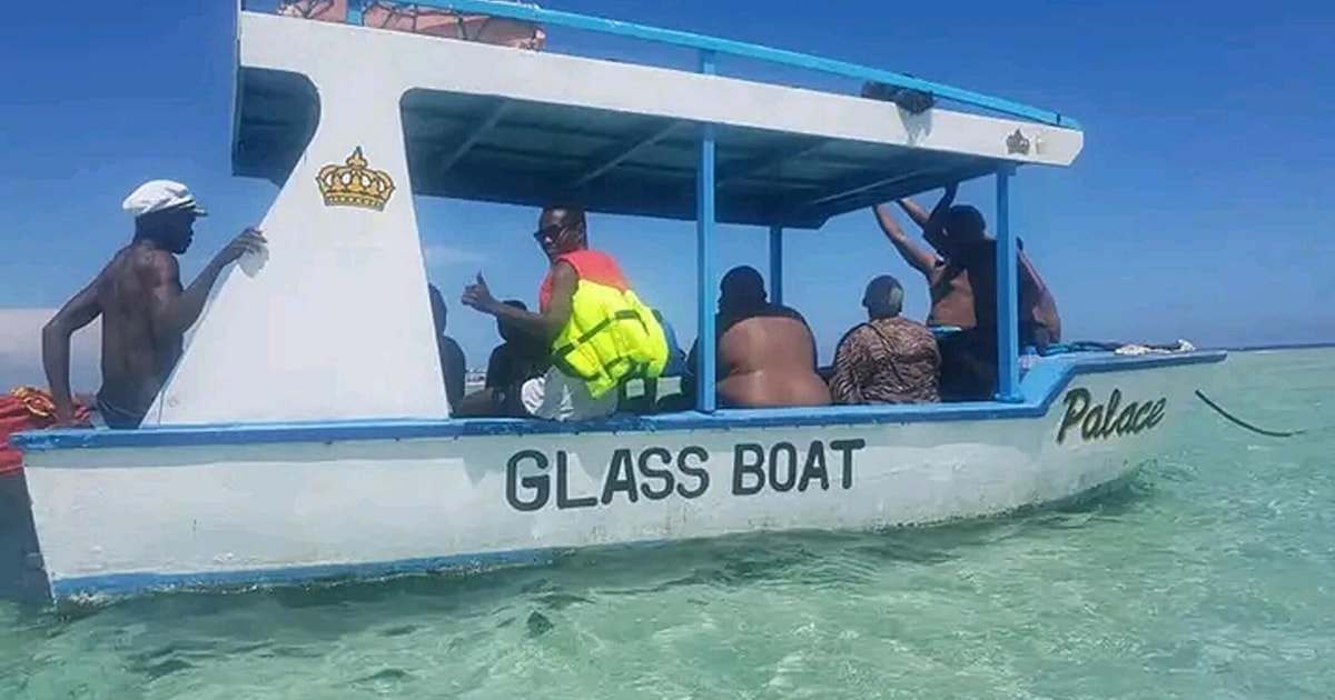 Diani Beach: Guided Glass Bottom Boat Cruise Tour And Lunch. | GetYourGuide