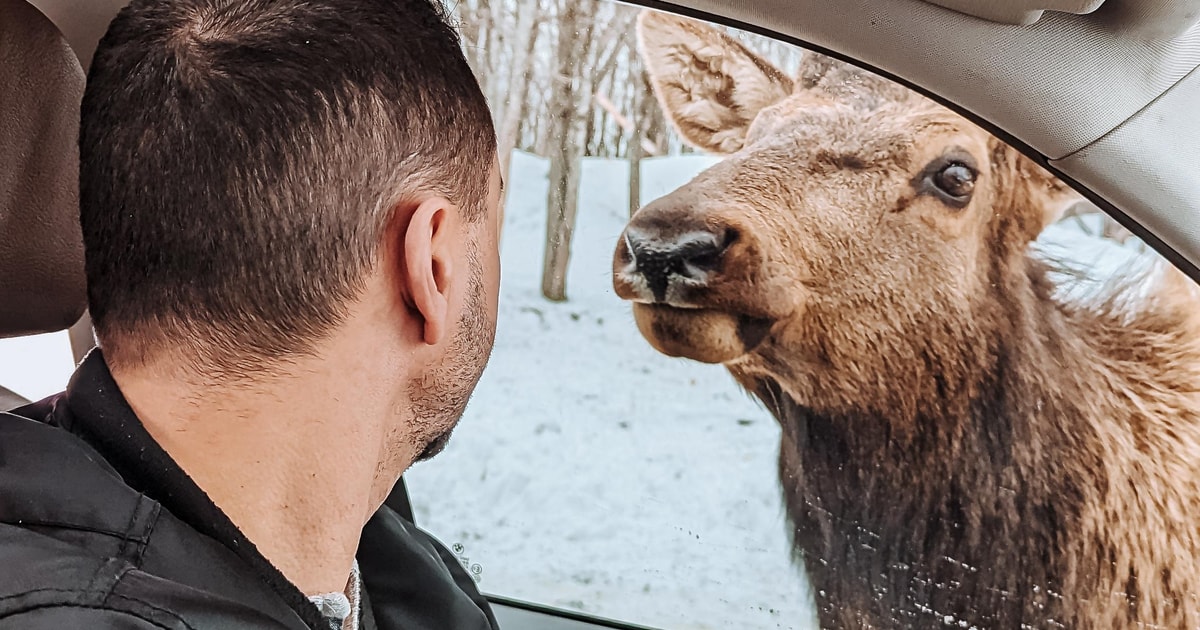Ottawa: Parc Omega Tour privado con traslado al hotel | GetYourGuide
