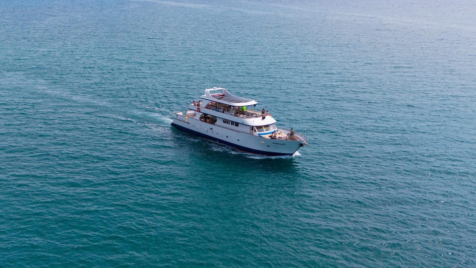 Larnaca: Sunset Cruise with a Glass of Wine | GetYourGuide