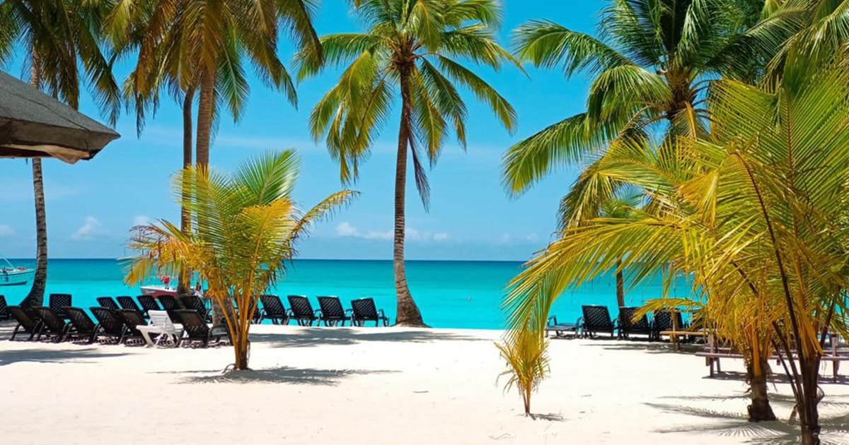 Aventura de dia inteiro na Ilha Saona | GetYourGuide