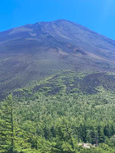 Mount Fuji: Mt. Fuji Private Day Tour with Custom Itinerary | GetYourGuide