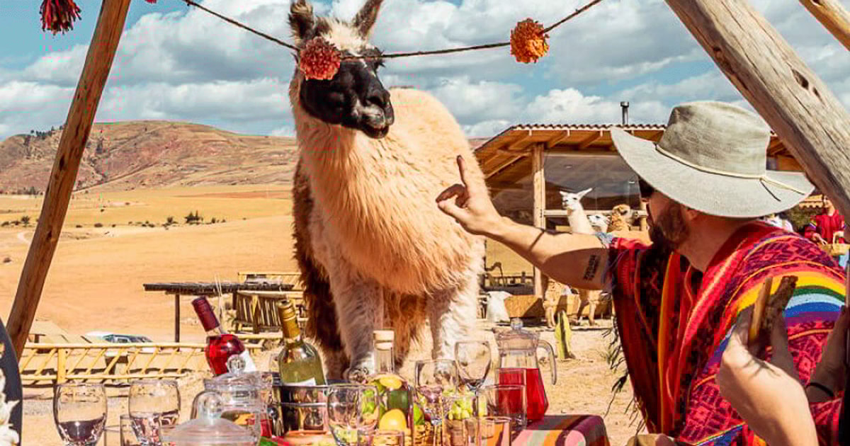 Visite privée| Maras et Moray| Chinchero| Pique-nique avec des lamas ...