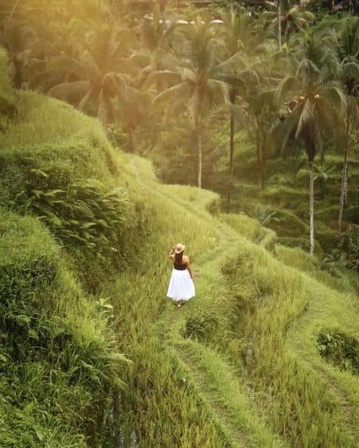 Bali : Private Full-day Tour Gate Of Heaven to Ubud | GetYourGuide