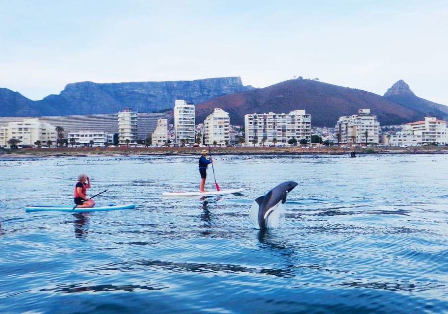 SUP Ocean Tour | GetYourGuide