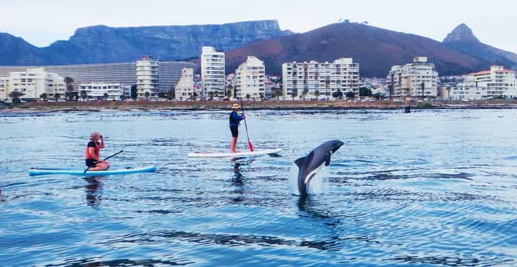 SUP Ocean Tour | GetYourGuide
