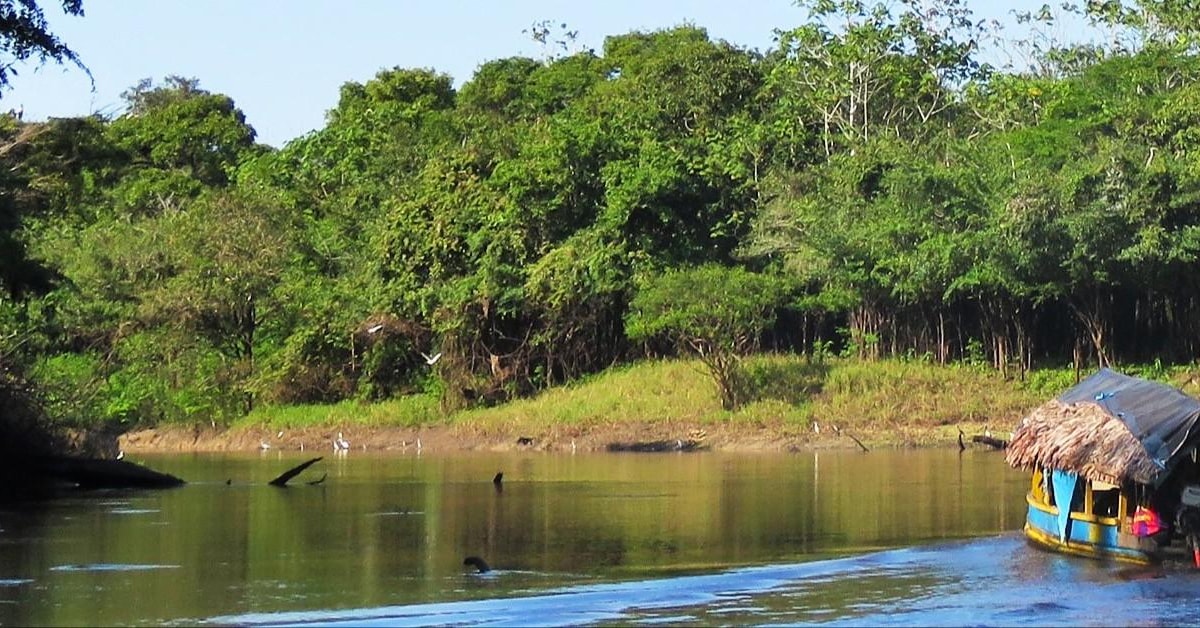 Wild Exploration: Adventure in Pacaya-Samiria | GetYourGuide