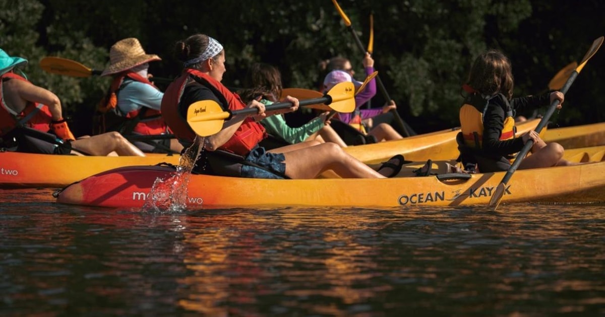 Oleta River State Park: Eco Kayak or Paddleboard Tour | GetYourGuide