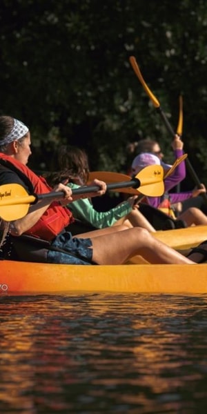 Oleta River State Park: Eco Kayak or Paddleboard Tour | GetYourGuide