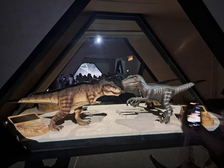 Meteorite Museum, Dzibilchaltún & beach break at Progresso | GetYourGuide