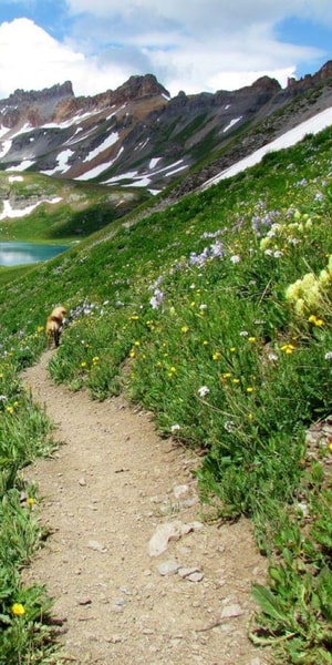 Silverthorne, Koloradas: žygis į kalnus su gidu - visos dienos žygis ...