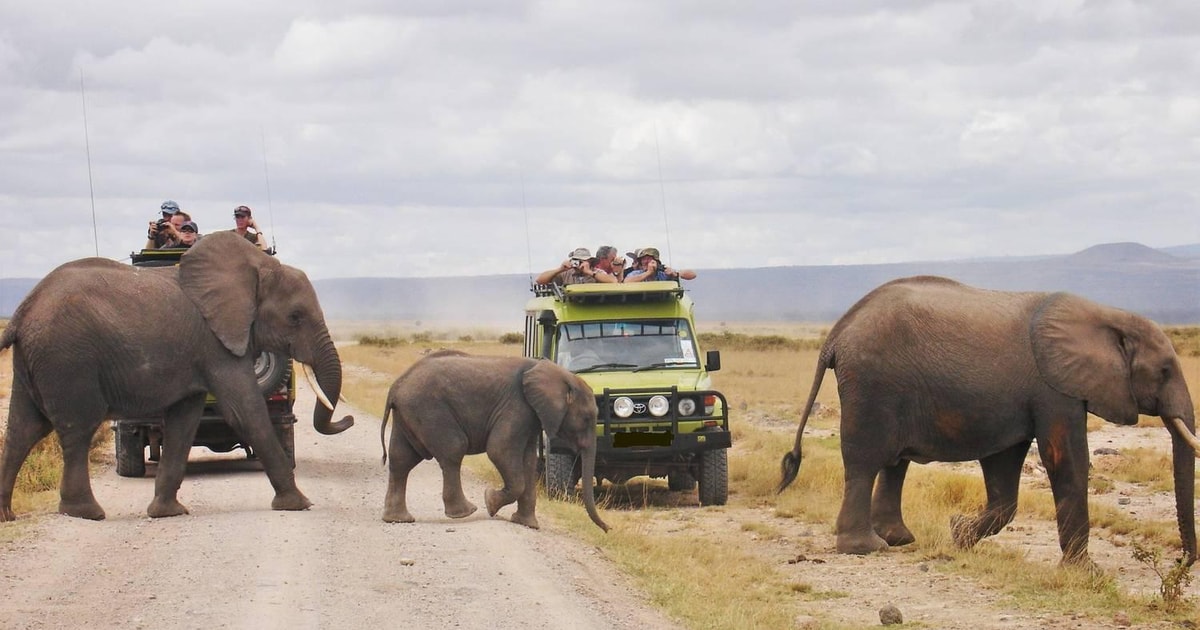 Från Nairobi: Bästa 7-dagars Kenya Adventure Wildlife Safari | GetYourGuide