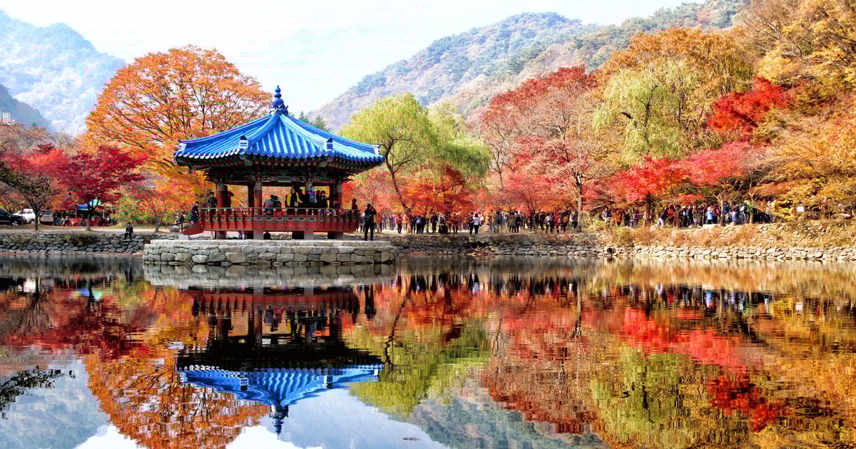 Seoul: Autumn Foliage - Mt. Naejang + Jeonju Hanok Village | GetYourGuide