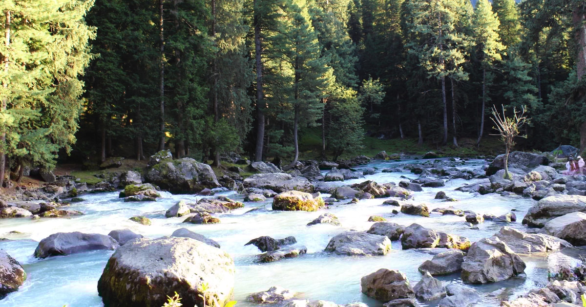 India's magic: an exclusive journey. | GetYourGuide