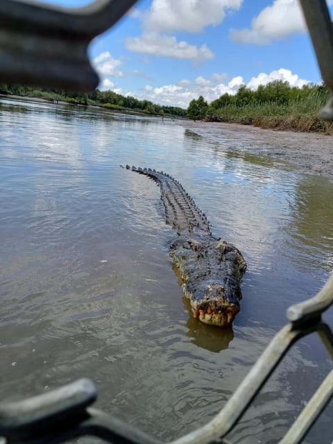 Darwin and Crocodile Tour | GetYourGuide