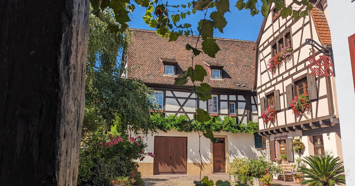 Colmar: Insolite Walking Tour with a local guide | GetYourGuide