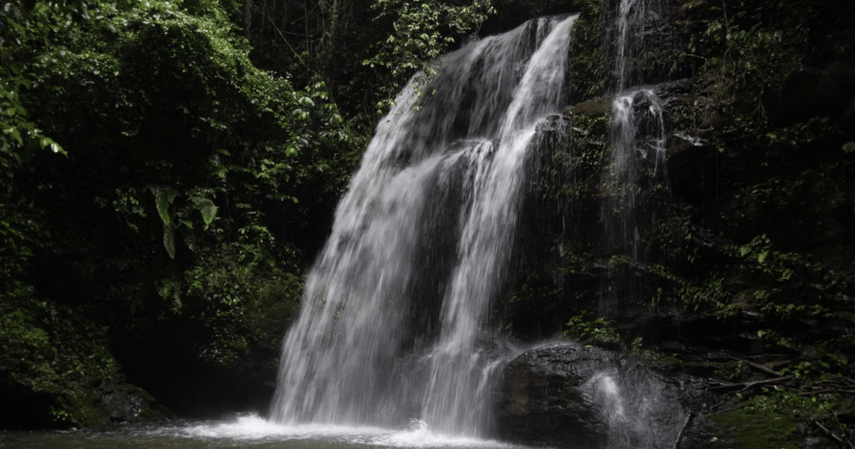 Odkrycie wodospadu Ndinga-Ndinga (las Mayombe) | GetYourGuide