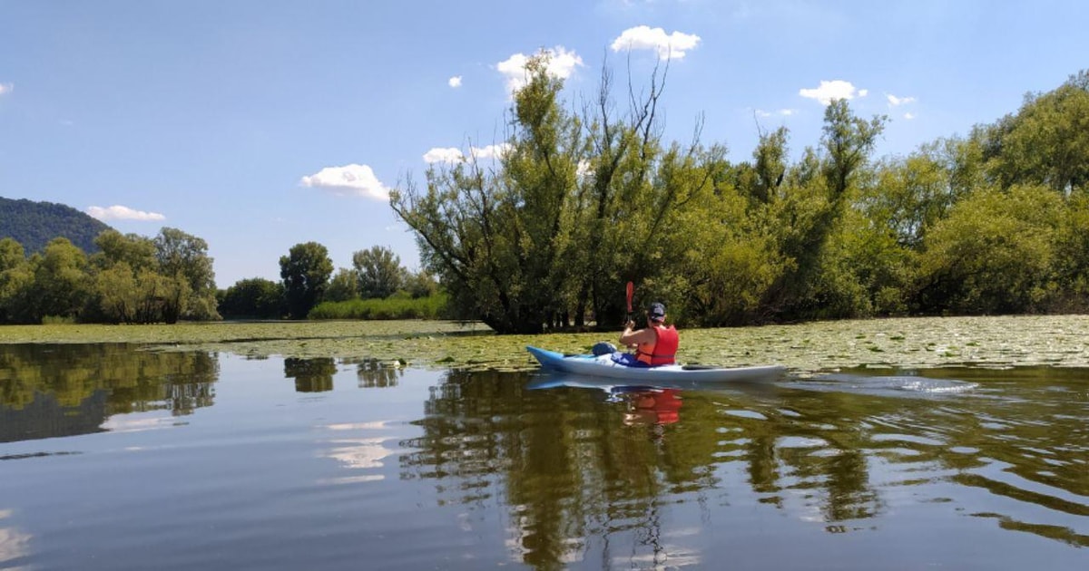 Adda River: Half day Kayak Trip | GetYourGuide