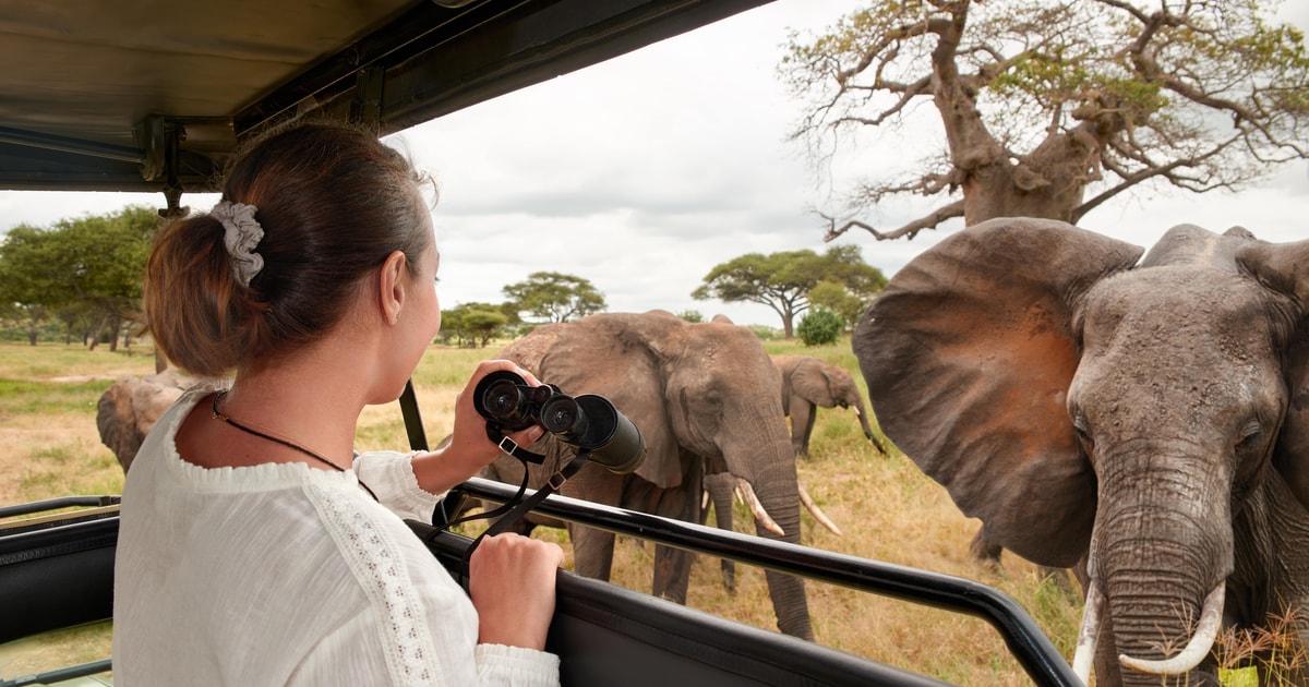 2 Dagen Vlieg in Safari naar Tarangire NP vanuit Zanzibar | GetYourGuide