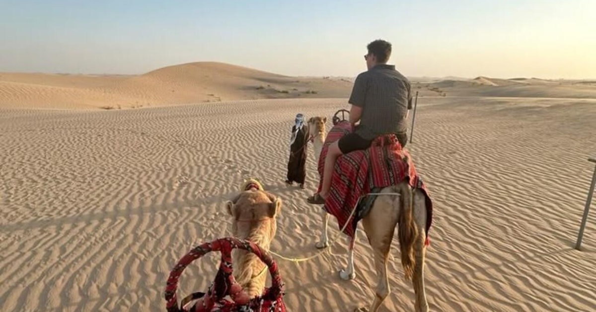 Sur: City Tour with Dhow Factory and Turtle Reserve | GetYourGuide