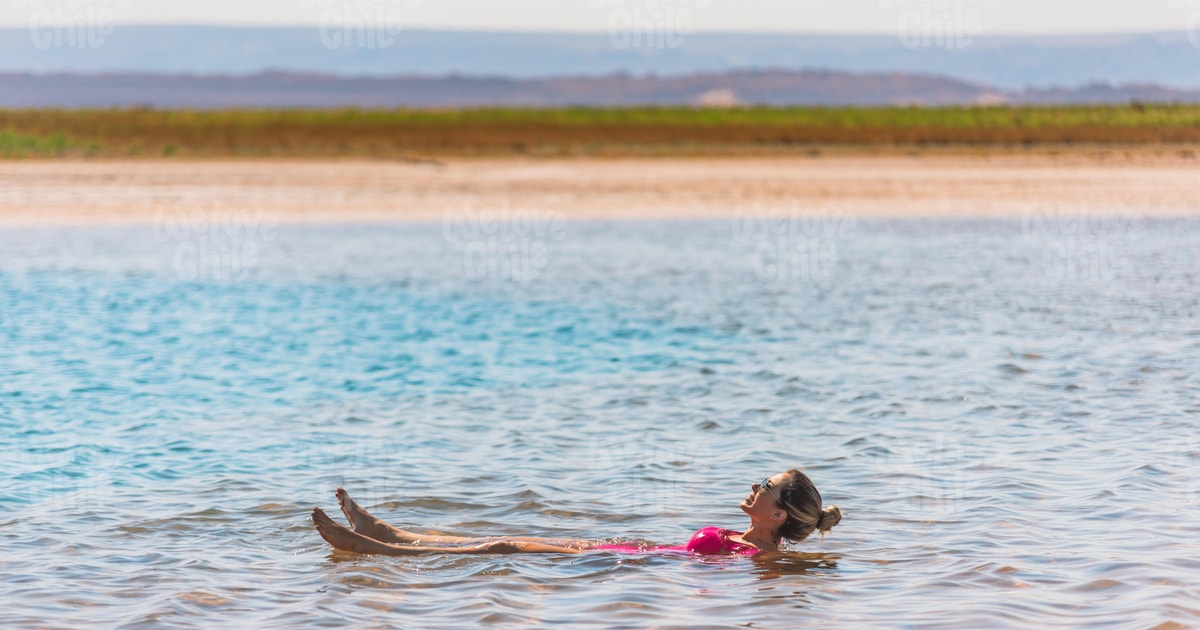 Laguna Cejar: flota na lagoa do salar de Atacama | GetYourGuide