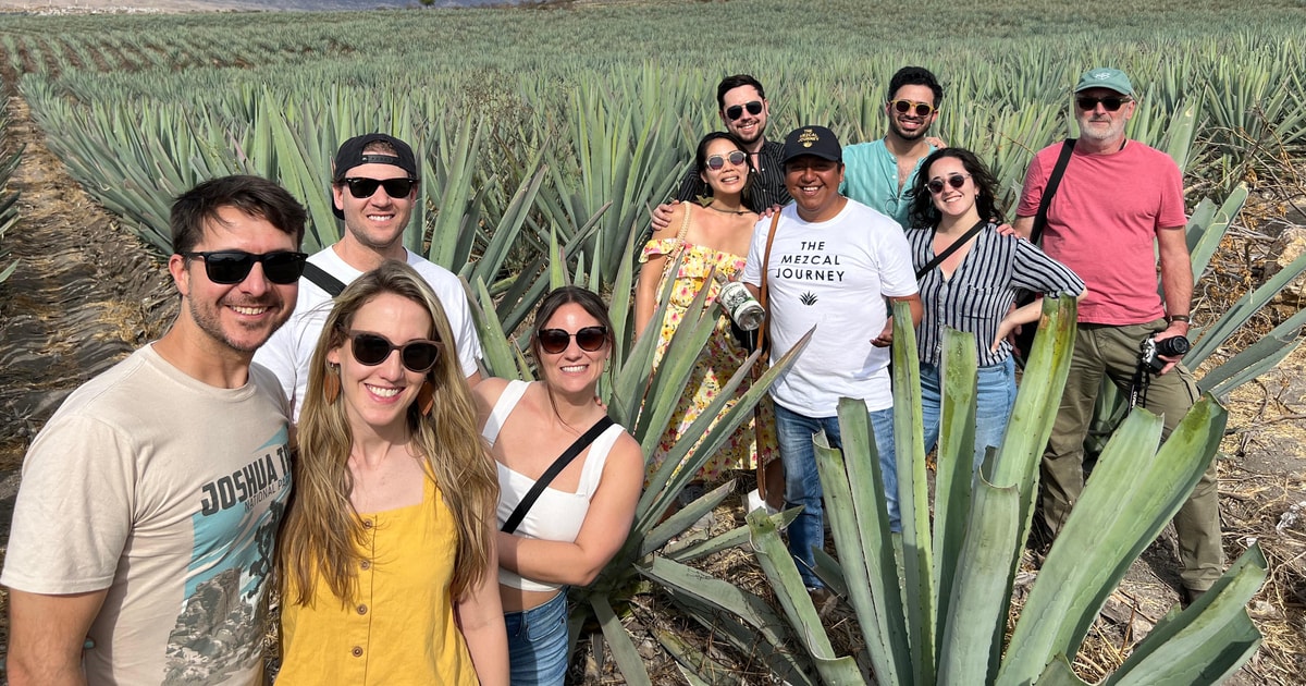 The Mezcal Journey | GetYourGuide